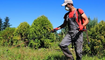 Backpack Spraying Operations | Aerial Forestry Services