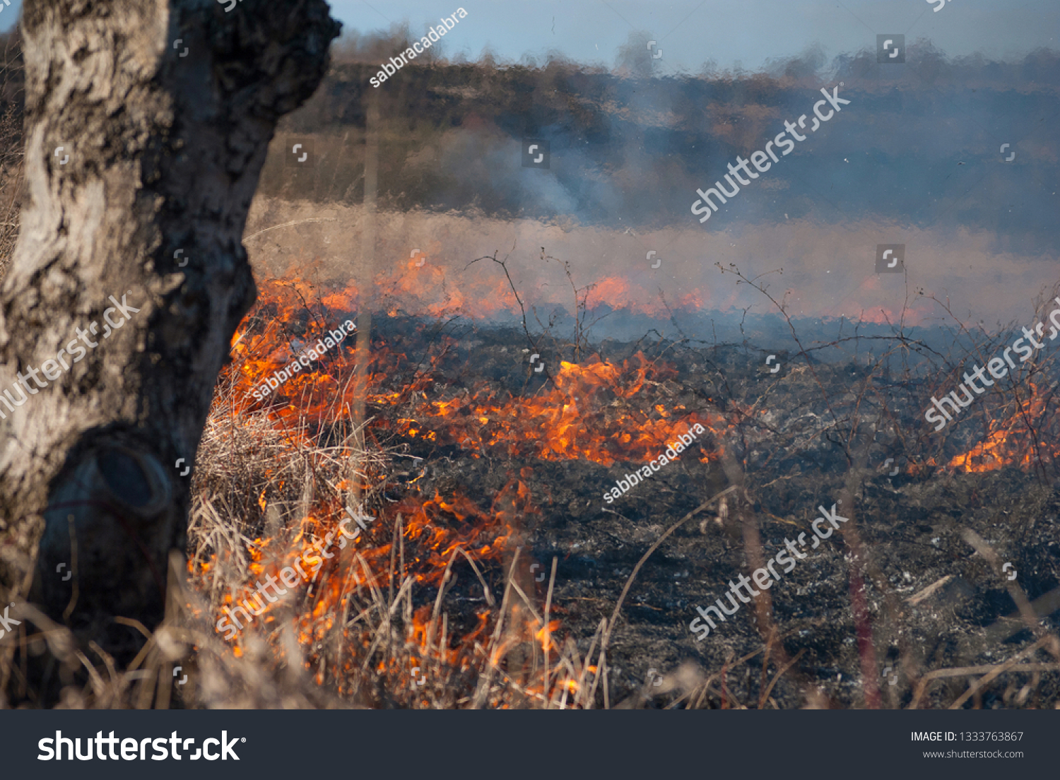 Burning Operations | Aerial Forestry Services